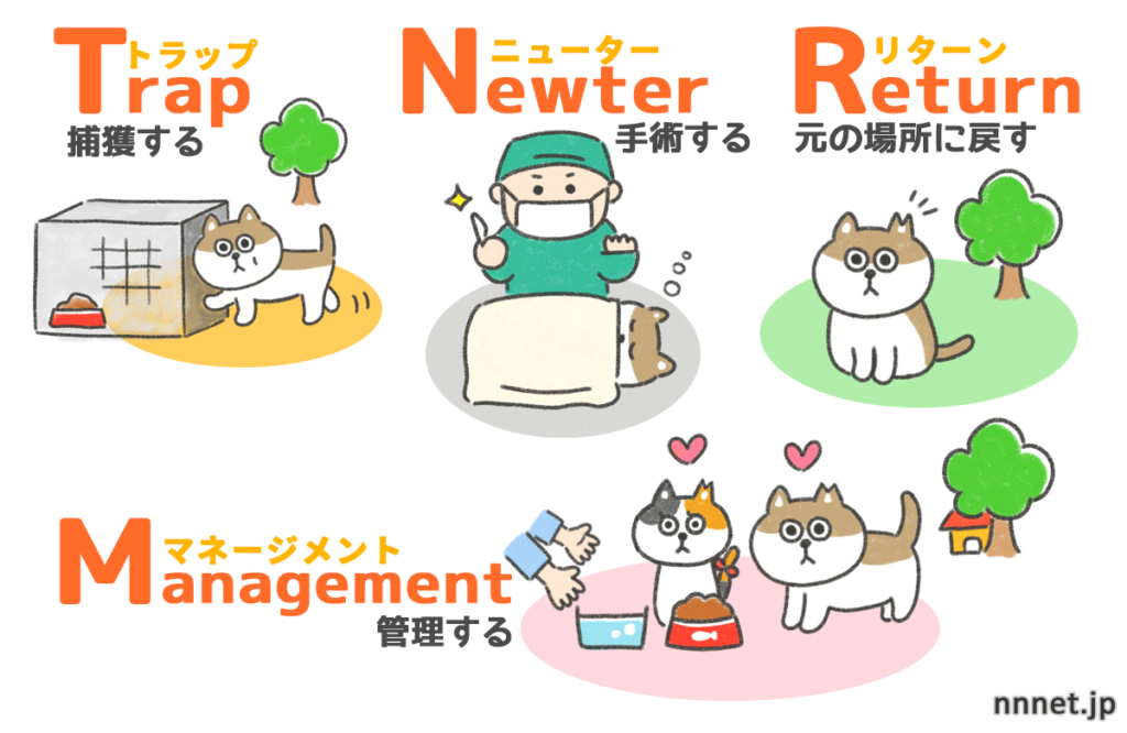長崎県の猫島「高島」の猫たちのTNRM活動 | 猫ねこネット -世界ねこ旅や、猫情報-
